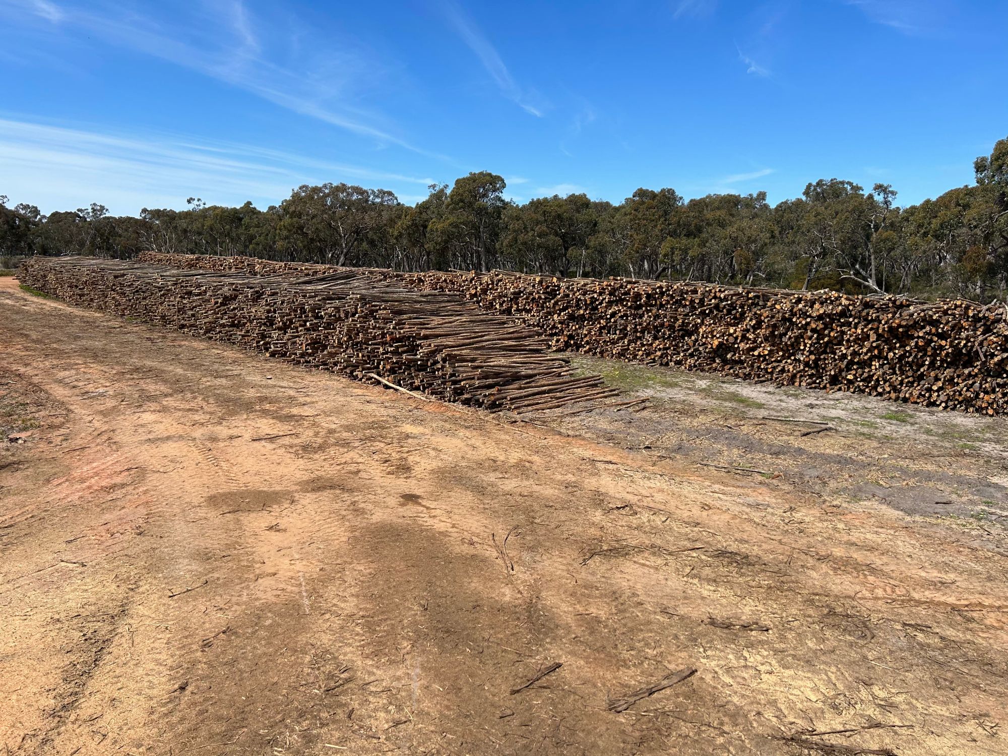 Premier Bulk Firewood Suppliers | Waycon Firewood