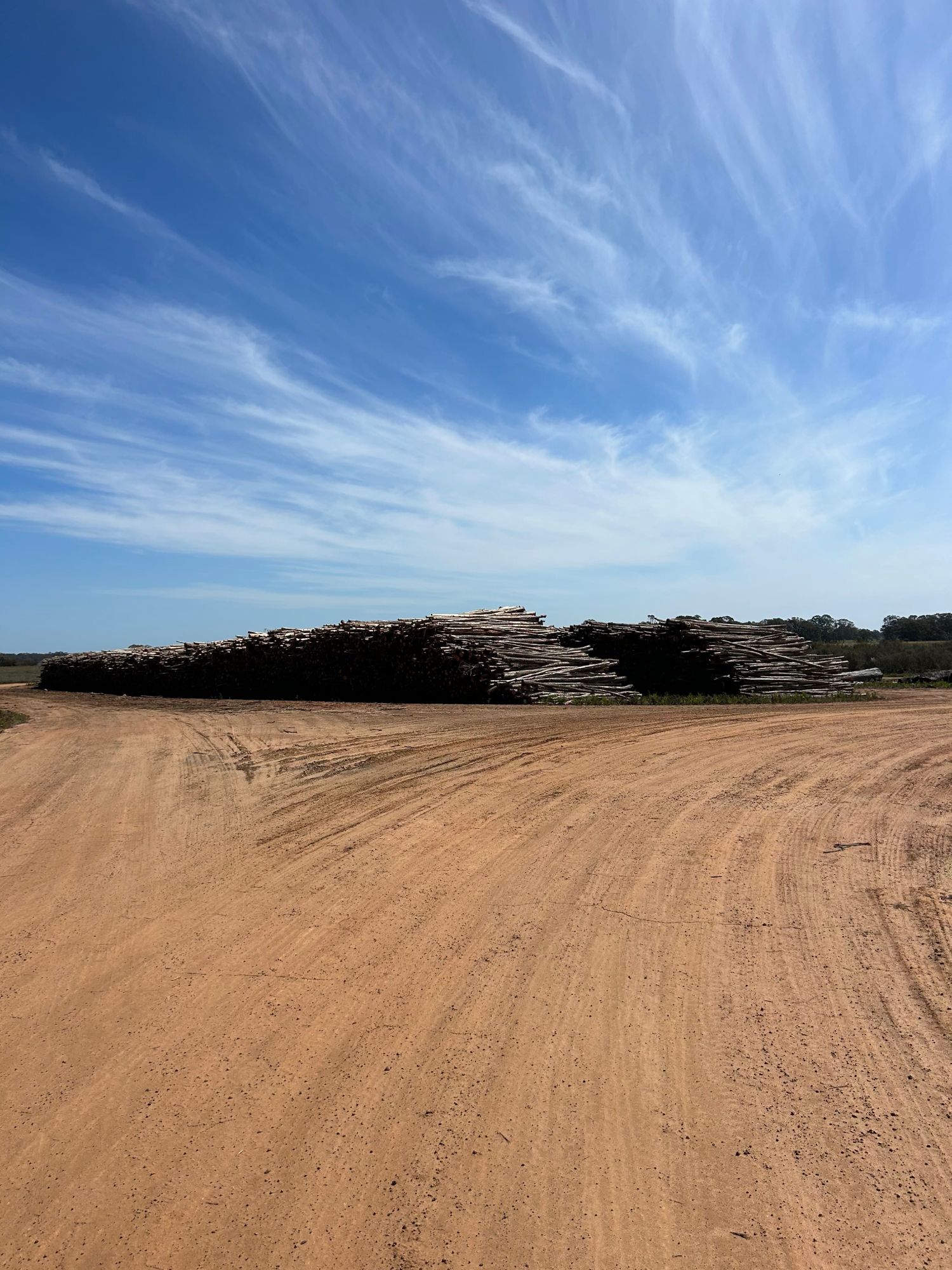 Premier Bulk Firewood Suppliers | Waycon Firewood